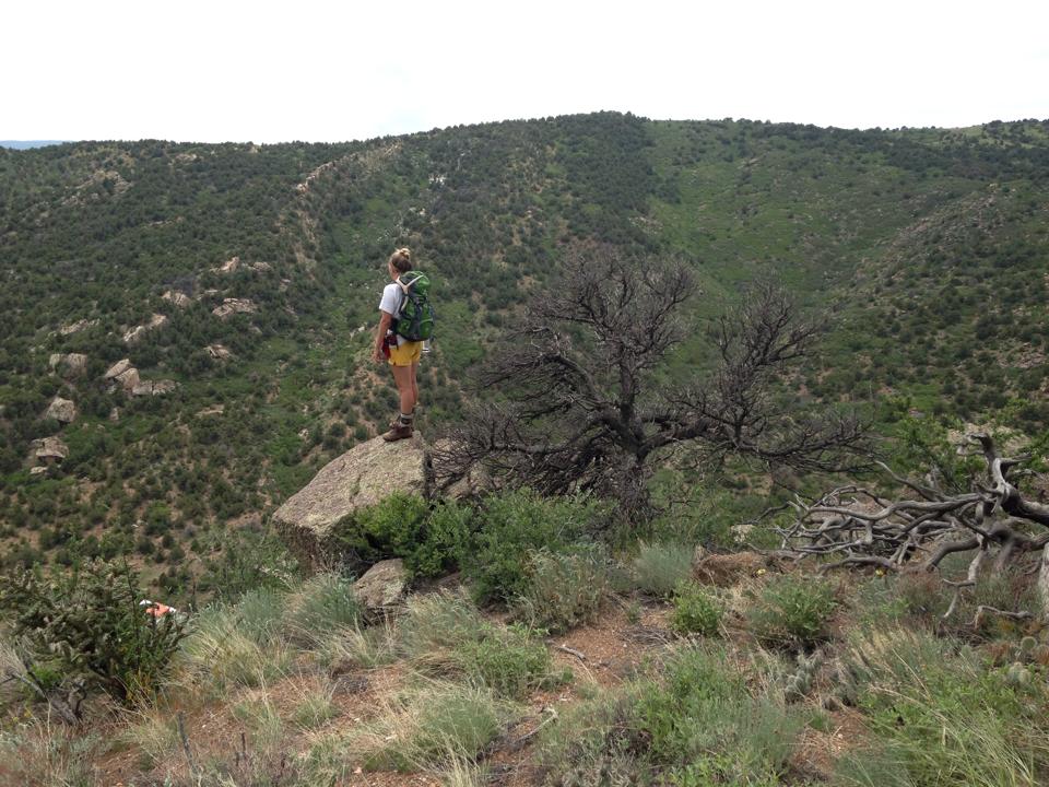 Renaissance Farmstead An Adventure Towards Sustainability