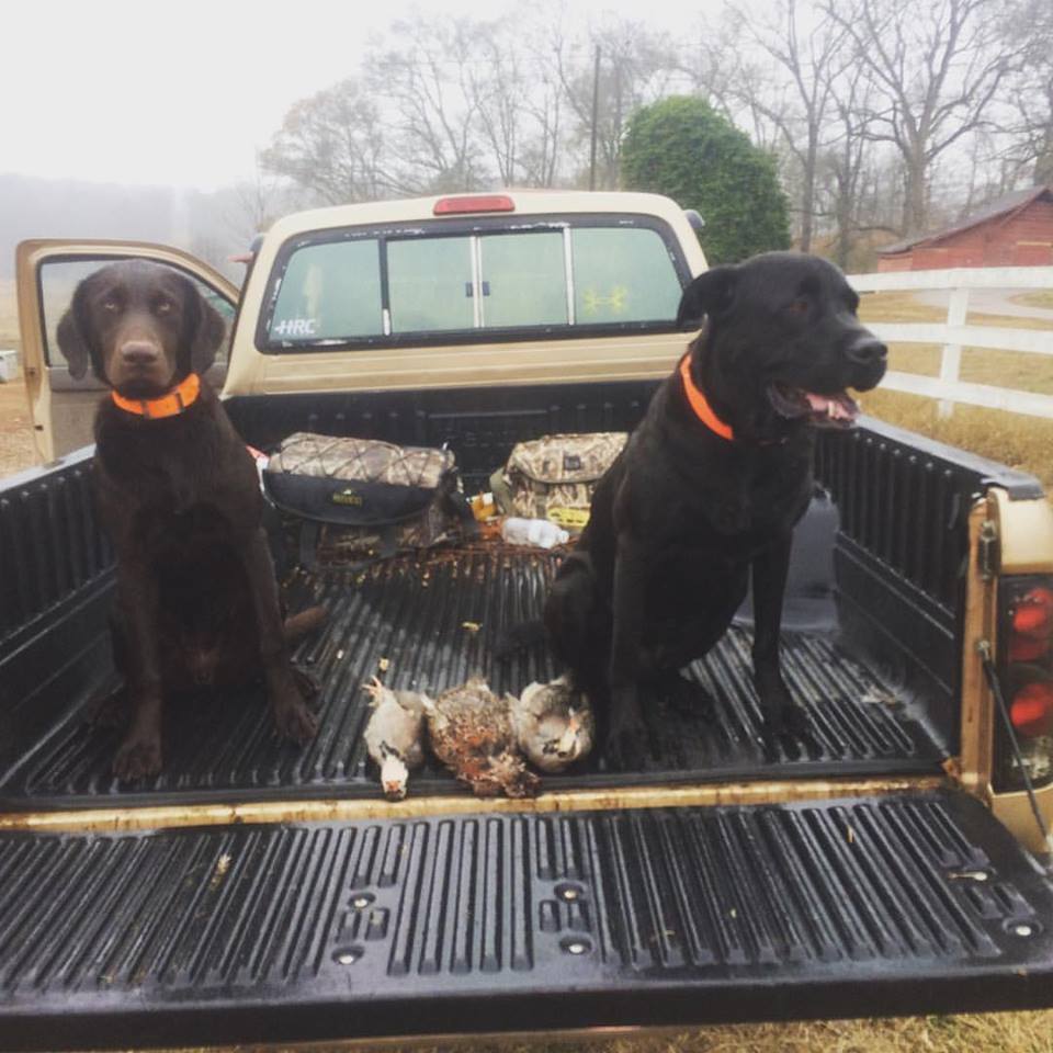 About Me Renaissance Farmstead