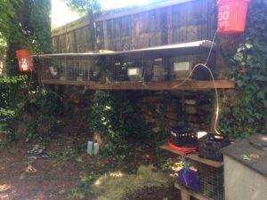 Rabbit Watering System – Renaissance Farmstead